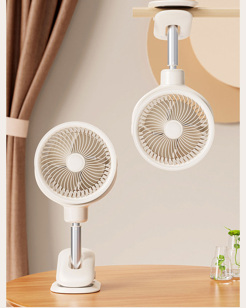 Multi-function fan