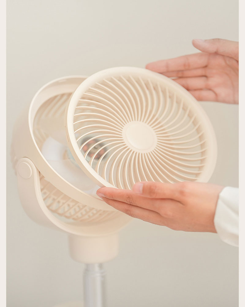 Multi-function fan
